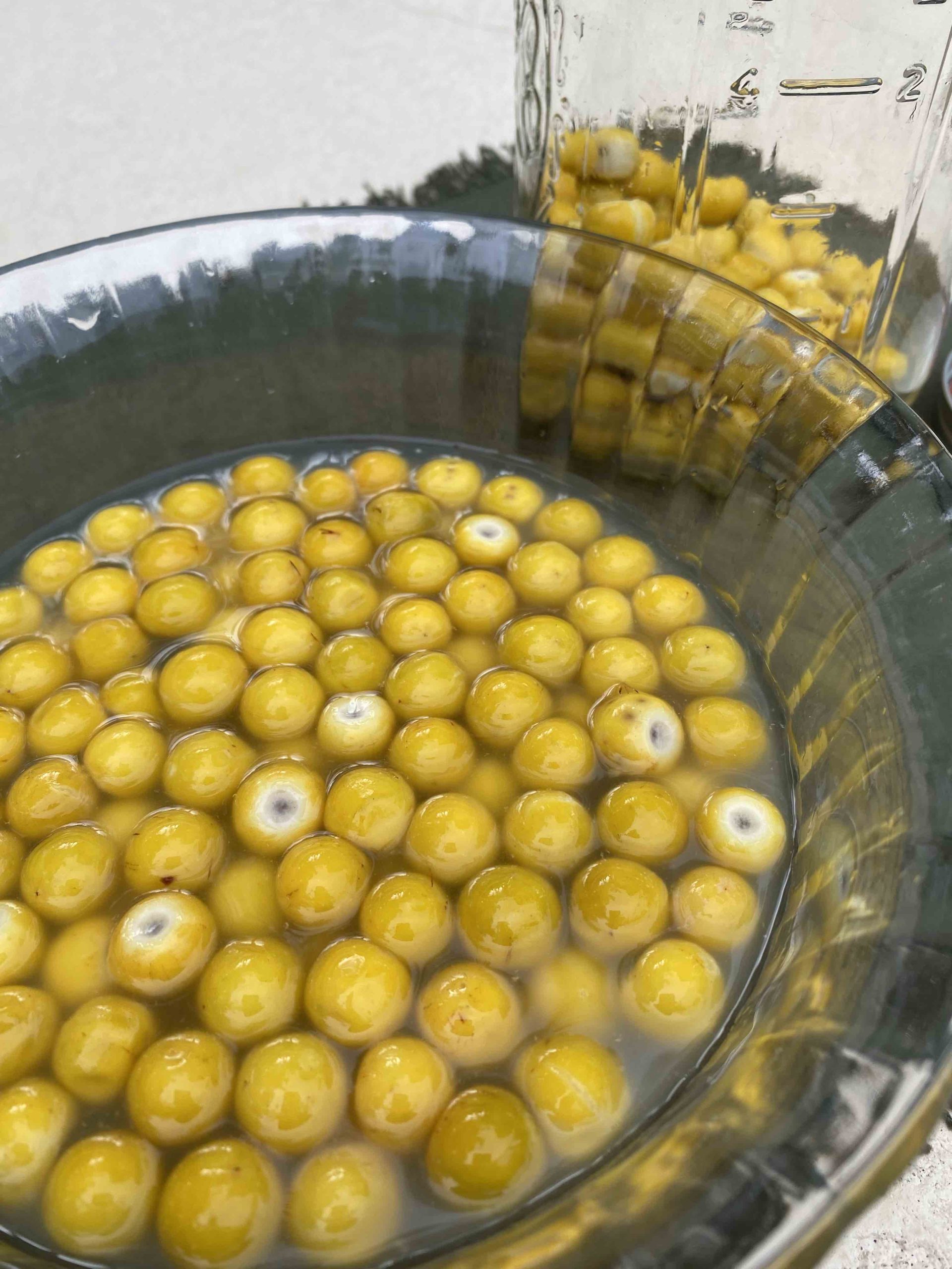 Nance: cómo extraer su pulpa – Yami Navarro